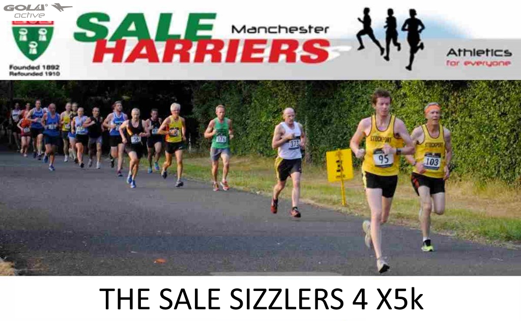 Sale Sizzler 1 Final Results - niftyEntries.com